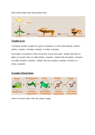 final document | PDF