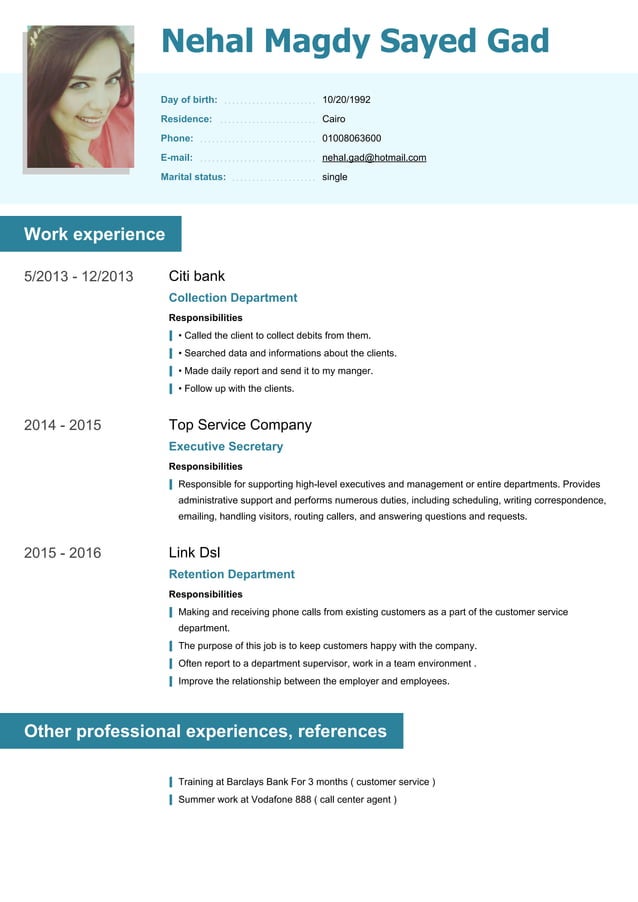 CV_nehal-magdy | PDF