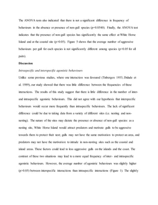 Agonistic Behaviour in Gulls | PDF