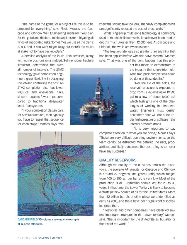 petrobras-cascade-chinook | PDF | Scuba Diving | Extreme Sports