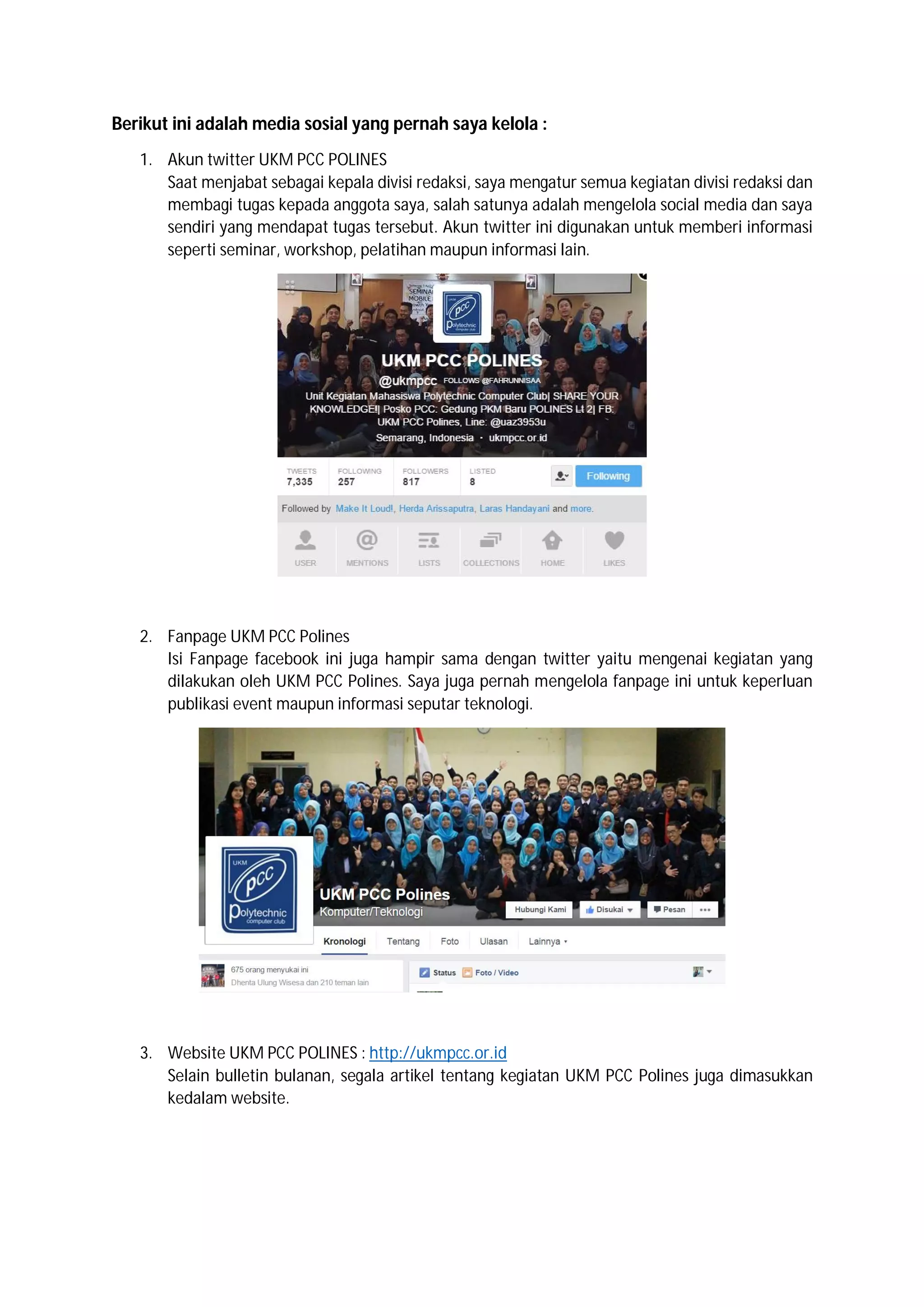 Portofolio Social Media | PDF