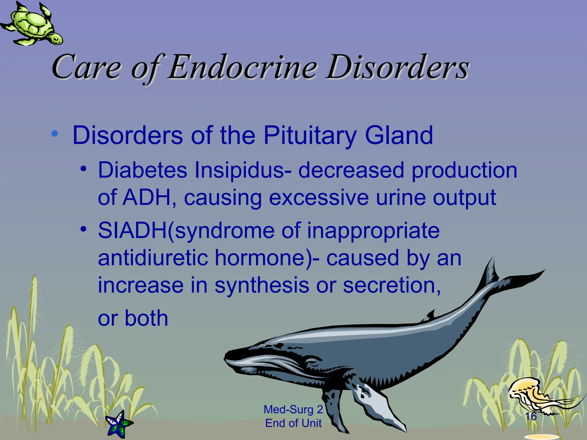 8Care of the Patient with an Endocrine Disorder.ppt