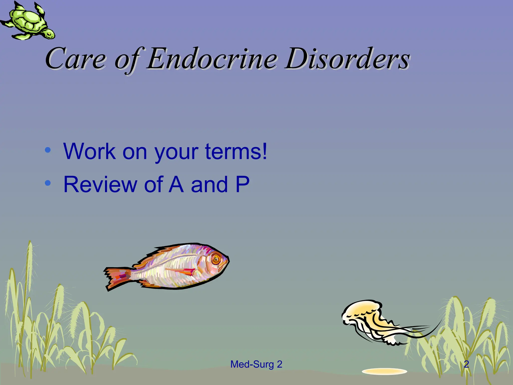8Care of the Patient with an Endocrine Disorder.ppt
