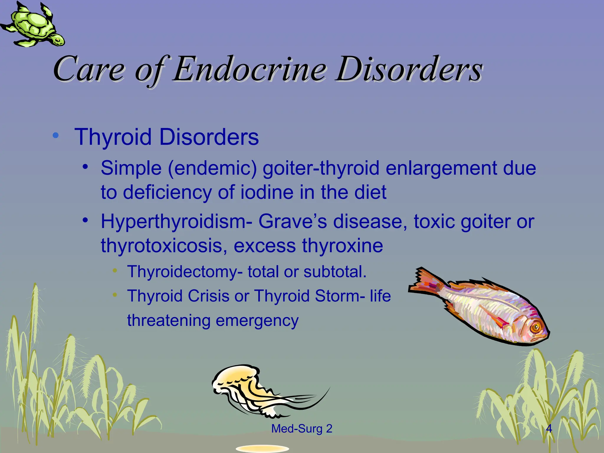 8Care of the Patient with an Endocrine Disorder.ppt
