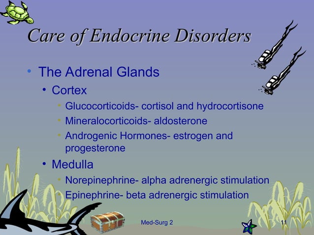 8Care of the Patient with an Endocrine Disorder.ppt