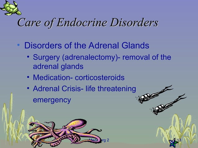 8Care of the Patient with an Endocrine Disorder.ppt