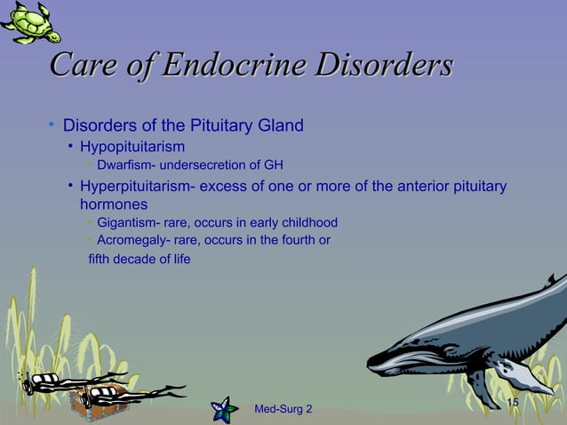 8Care of the Patient with an Endocrine Disorder.ppt