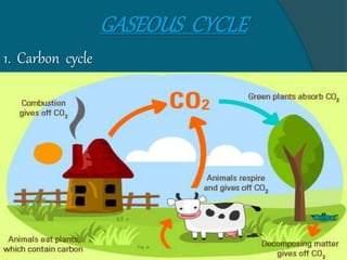 bio geochemical cycles ..environmental studies | PPTX