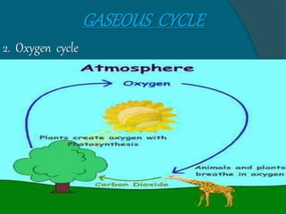 bio geochemical cycles ..environmental studies | PPTX