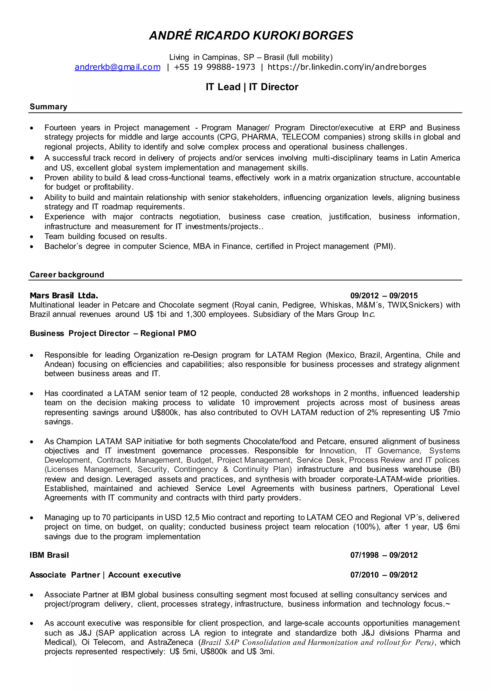 CV ANDRE_BORGES_IT_Lead | PDF