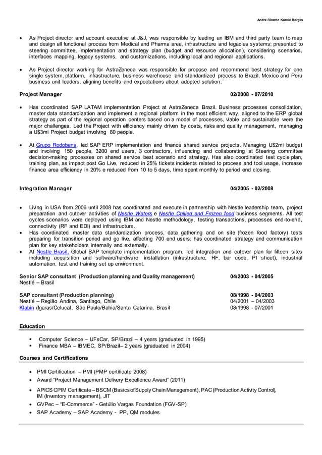 CV ANDRE_BORGES_IT_Lead | PDF