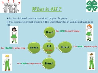 about 4h | PPT