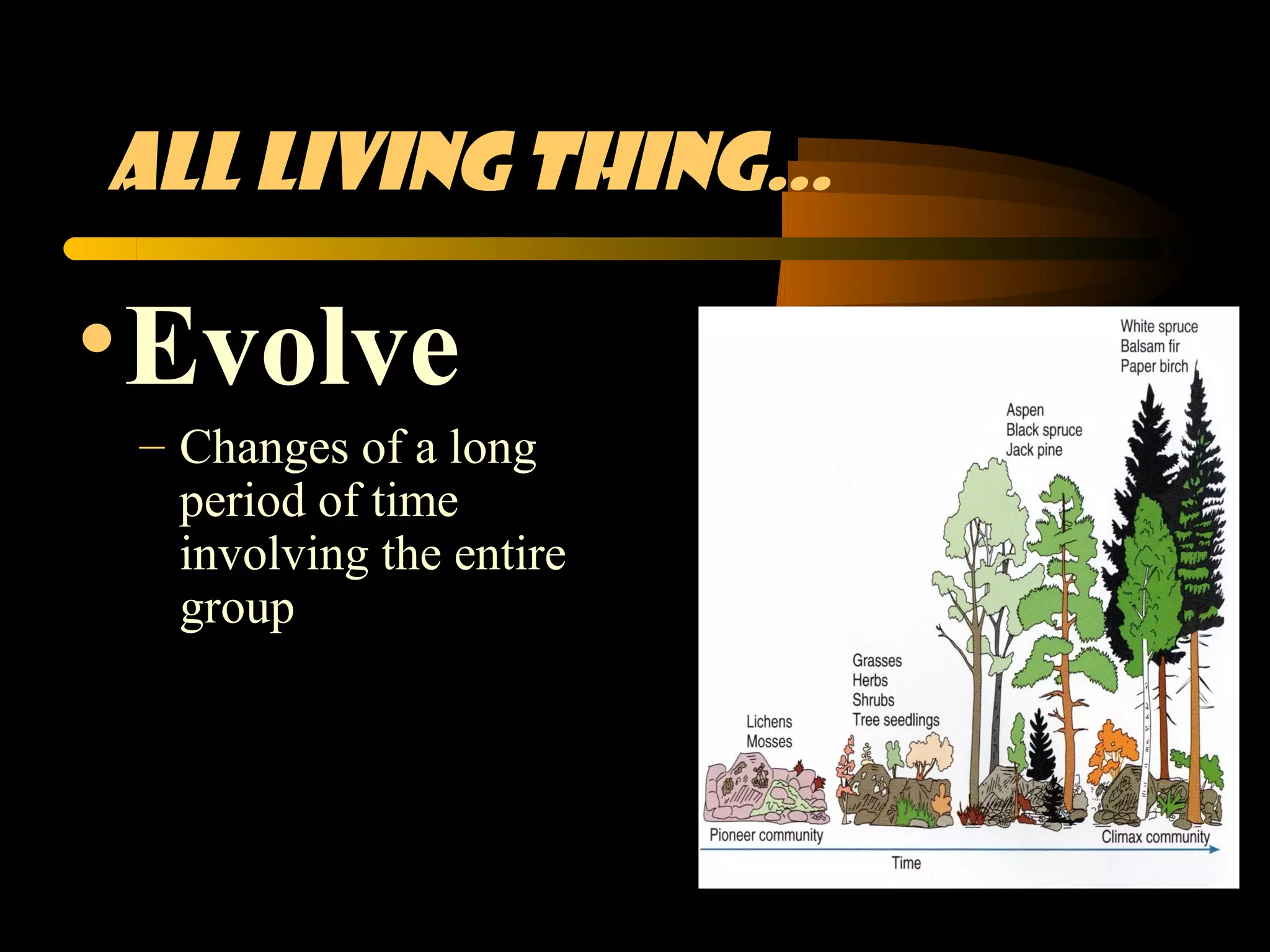 8 characteristics of life notes | PPT