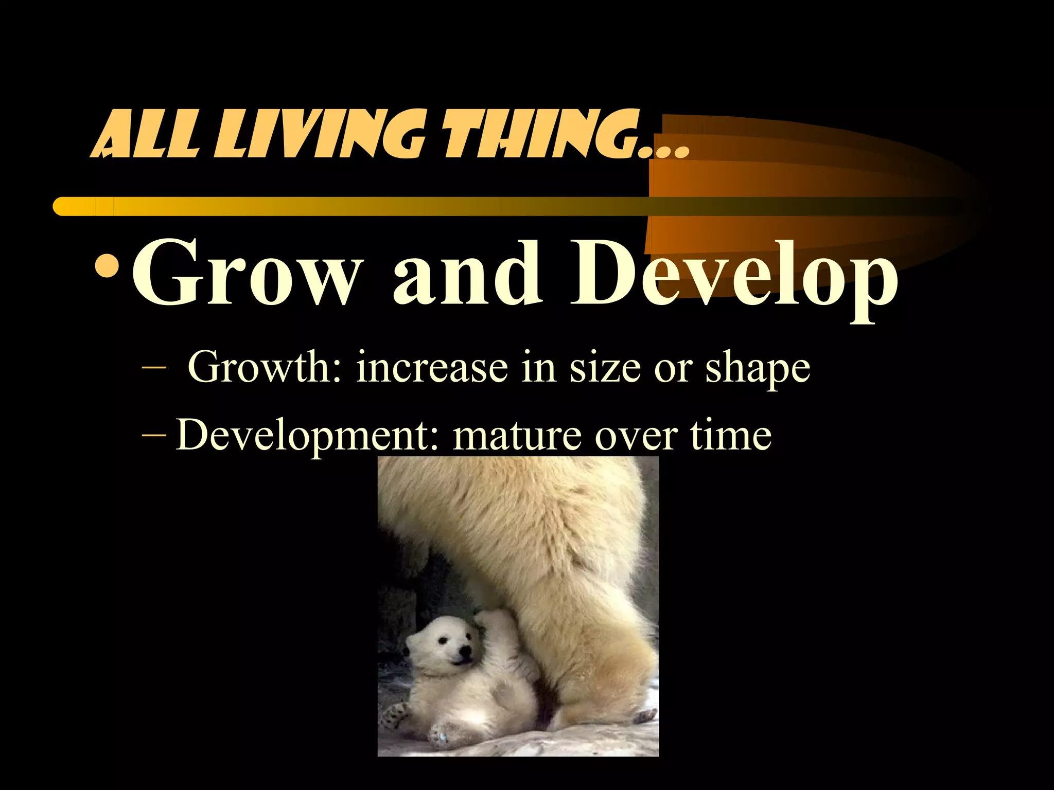 8 characteristics of life notes | PPT