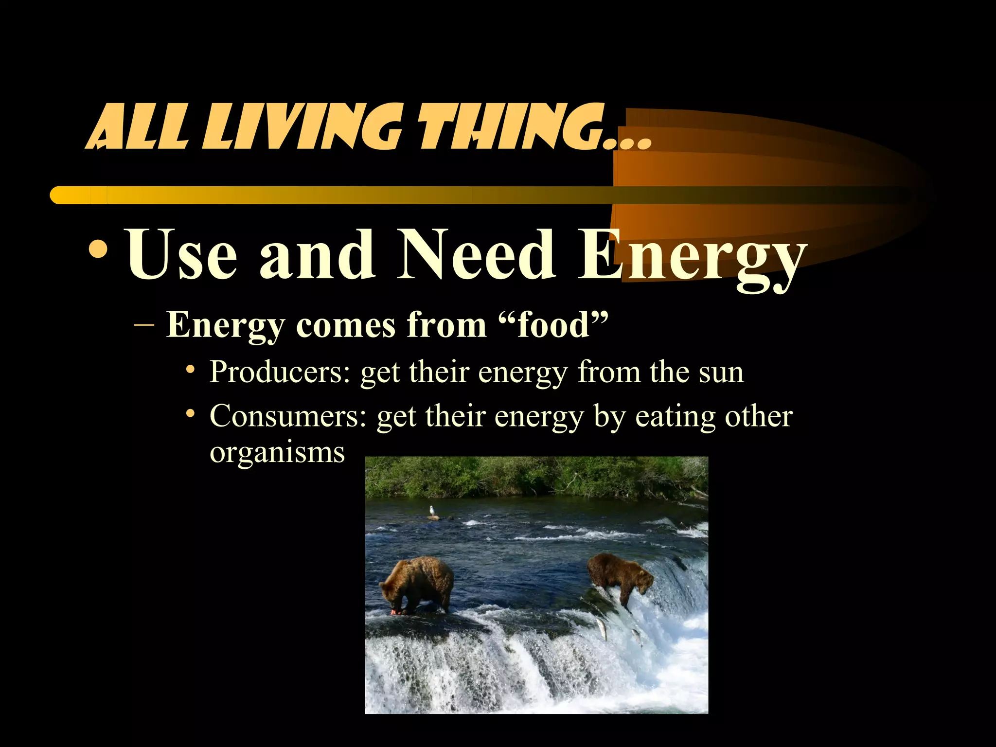 8 characteristics of life notes | PPT
