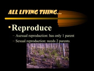 8 characteristics of life notes | PPT