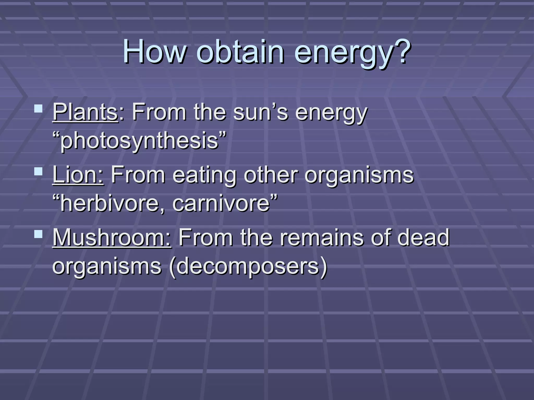 8 characteristics of living things in detail | PPT