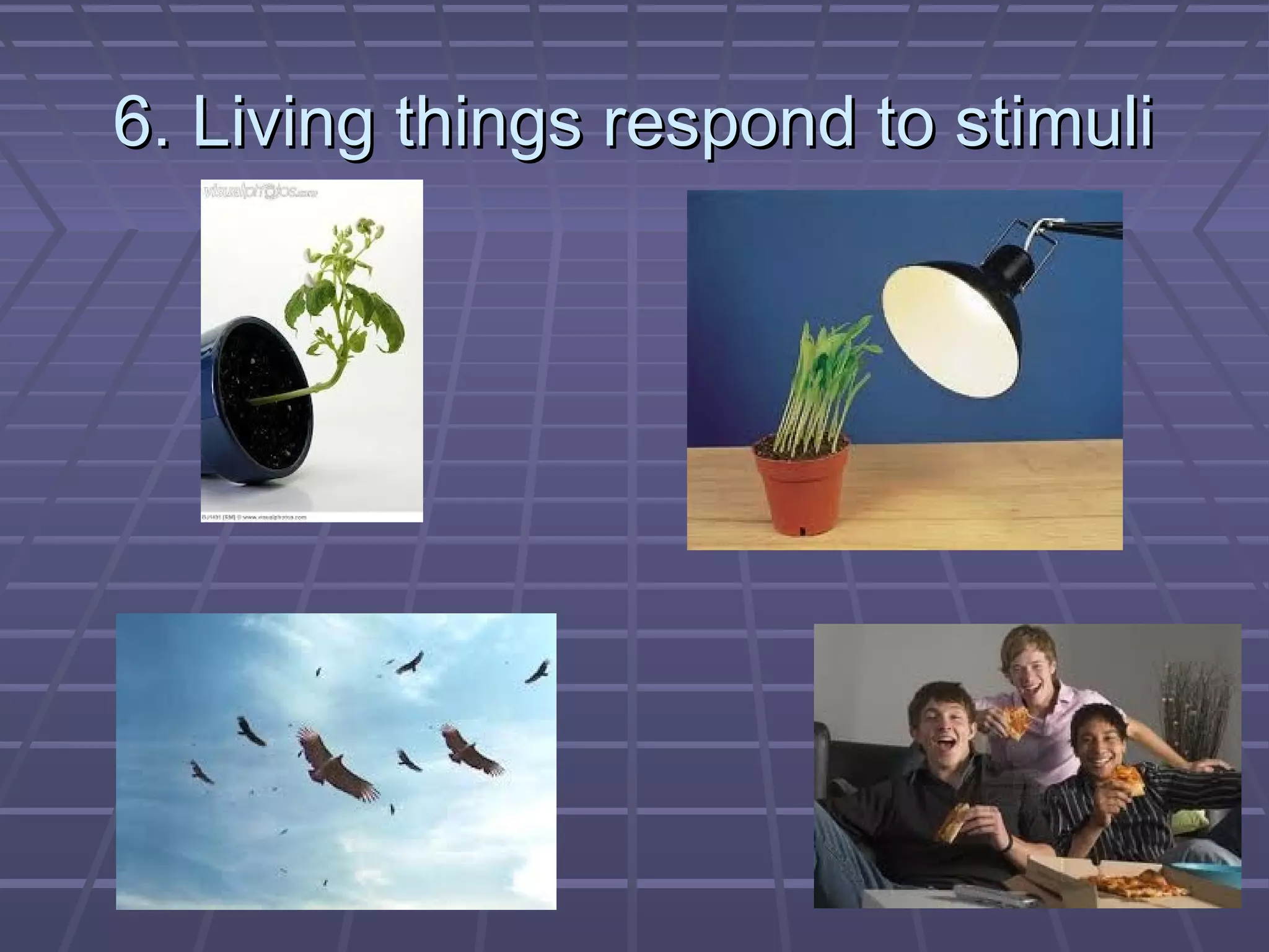 8 characteristics of living things in detail | PPT
