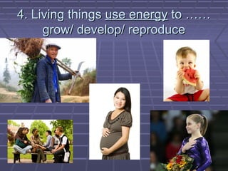 8 characteristics of living things in detail | PPT