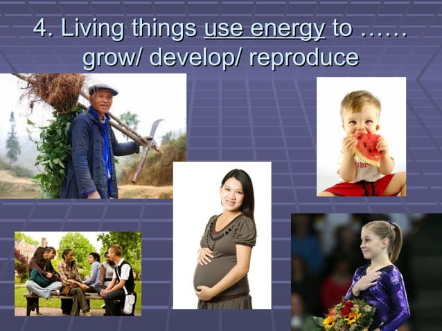 8 characteristics of living things in detail | PPT