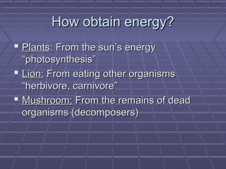 8 characteristics of living things in detail | PPT