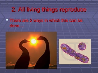 8 characteristics of living things in detail | PPT