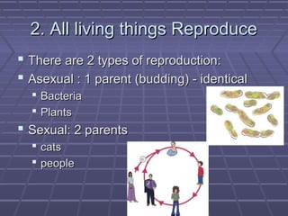 8 characteristics of living things in detail | PPT