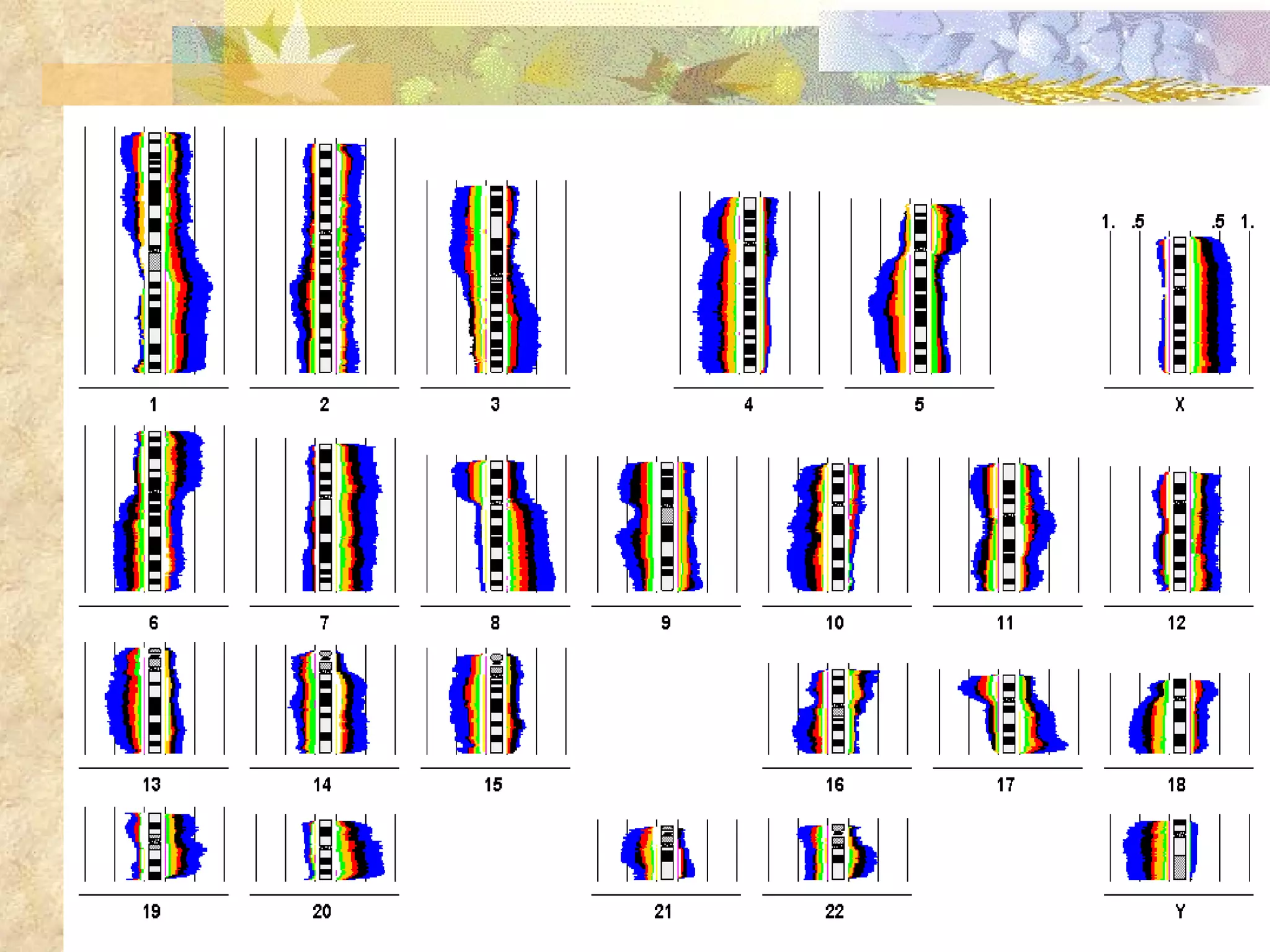 8 Chromosome Disorder | PPT