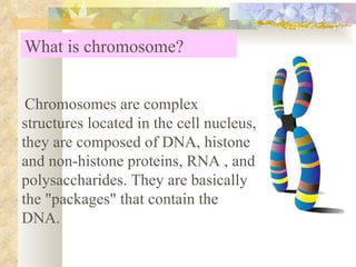 8 Chromosome Disorder | PPT