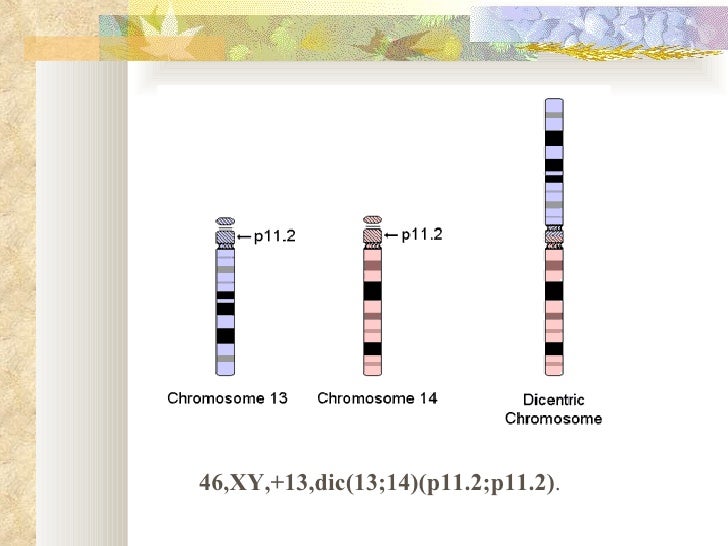 8 Chromosome Disorder