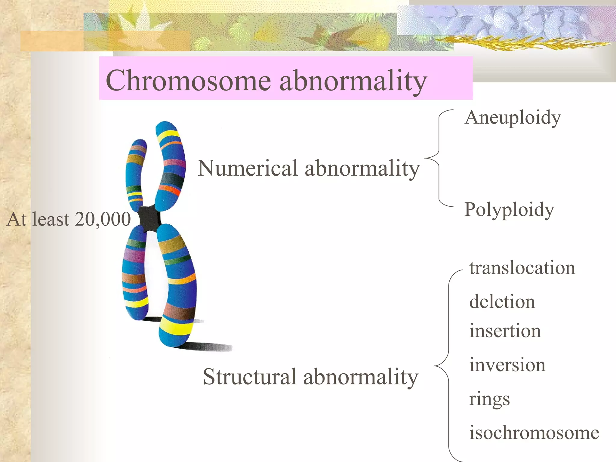 8 Chromosome Disorder 2 | PPT