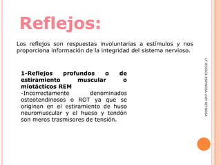 exploración miembros superiores e inferiores | PPTX