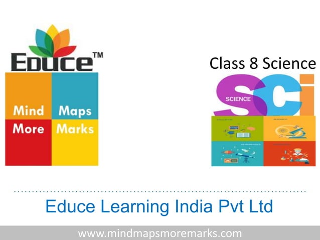 8 class science sample mindmaps | PPTX | Science