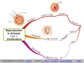 8 class science sample mindmaps | PPTX