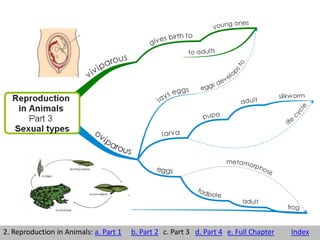 8 class science sample mindmaps | PPTX