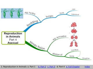 8 class science sample mindmaps | PPTX