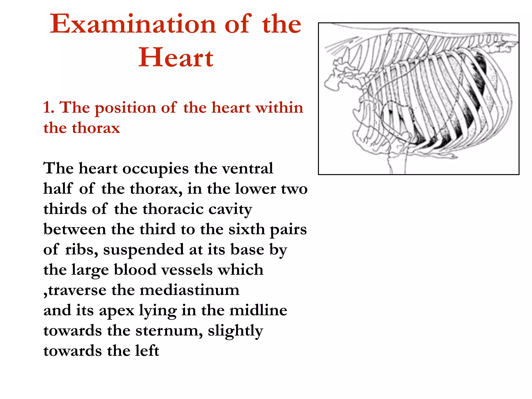 8 clinical examination of cardiovascular system in animals | PDF