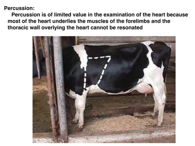 8 clinical examination of cardiovascular system in animals | PDF ...