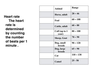 8 clinical examination of cardiovascular system in animals | PDF