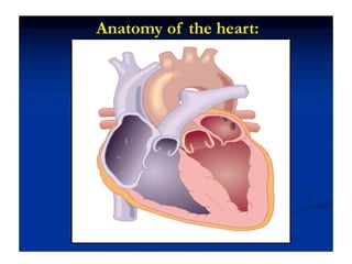 8 clinical examination of cardiovascular system in animals | PDF