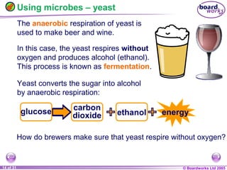 8 c microbes and disease | PPT