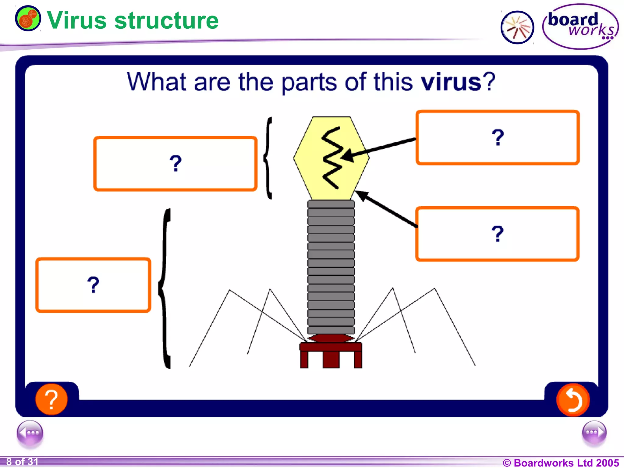8 c microbes & disease (boardworks) | PPT