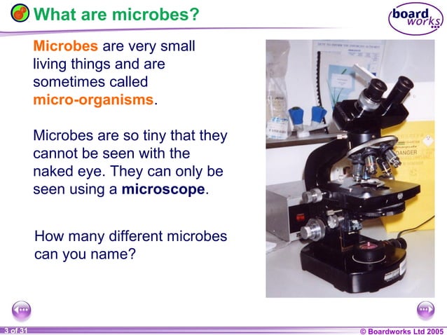 8 c microbes & disease (boardworks) | PPT