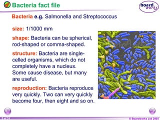 8 c microbes & disease (boardworks) | PPT