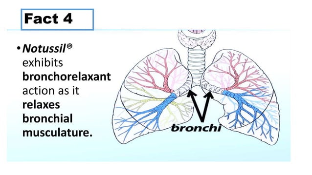 8 competitive medical facts about notussil® | PPTX