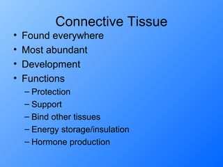 8 connective tissue | PPT