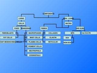 8 connective tissue | PPT