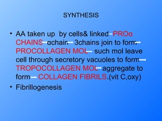 8 connective tissue | PPT
