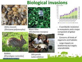 Community resistance to biological invasions : role of diversity and ...