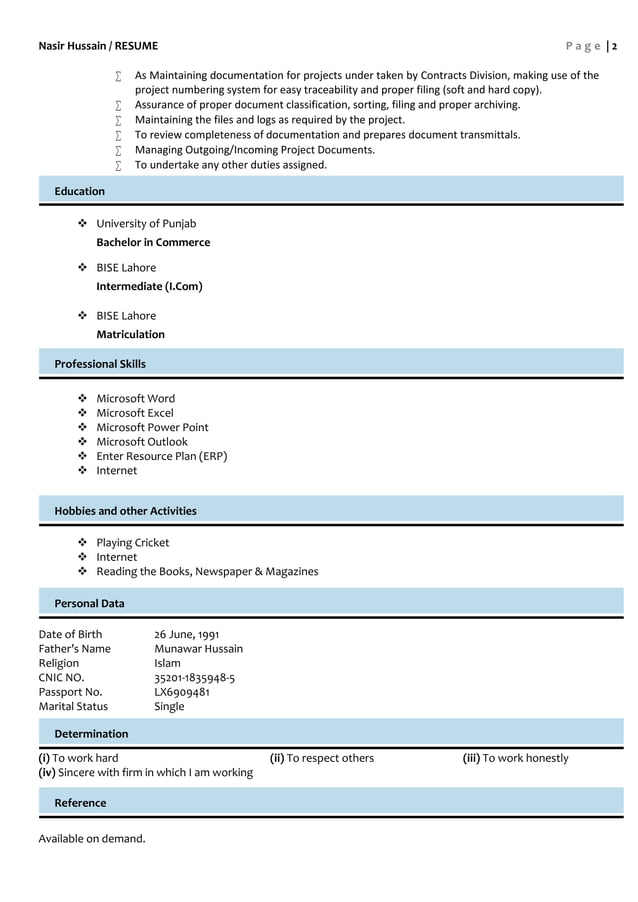 Curriculum vitae | PDF